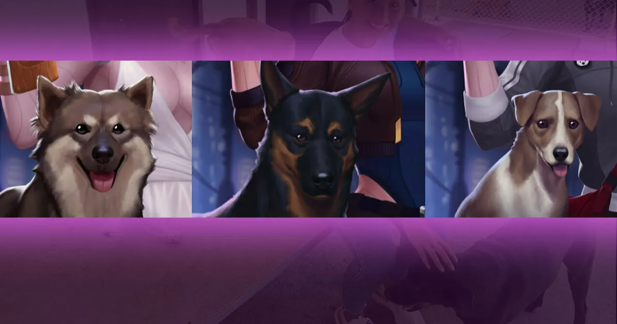 Raresama will auction tokenized dogs - raresama